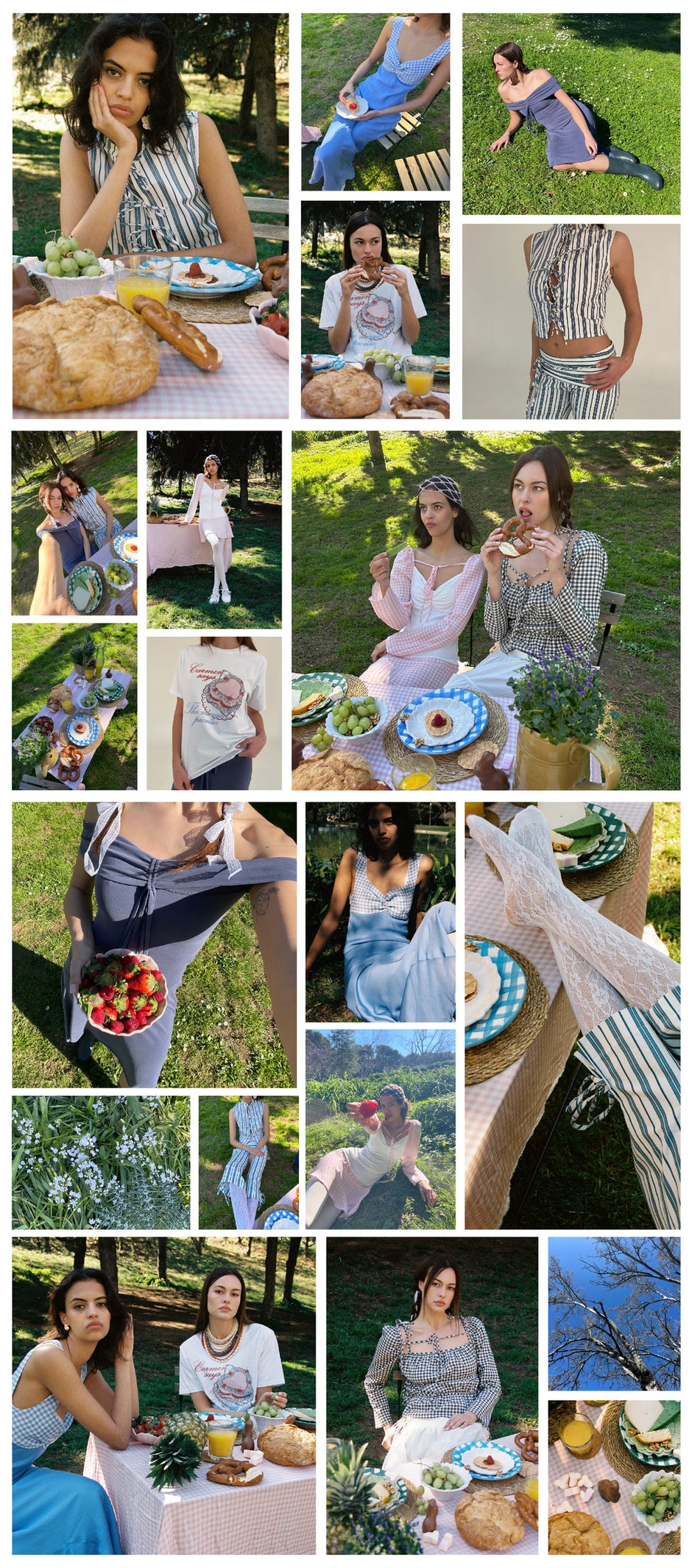 1x05. The magic picnic